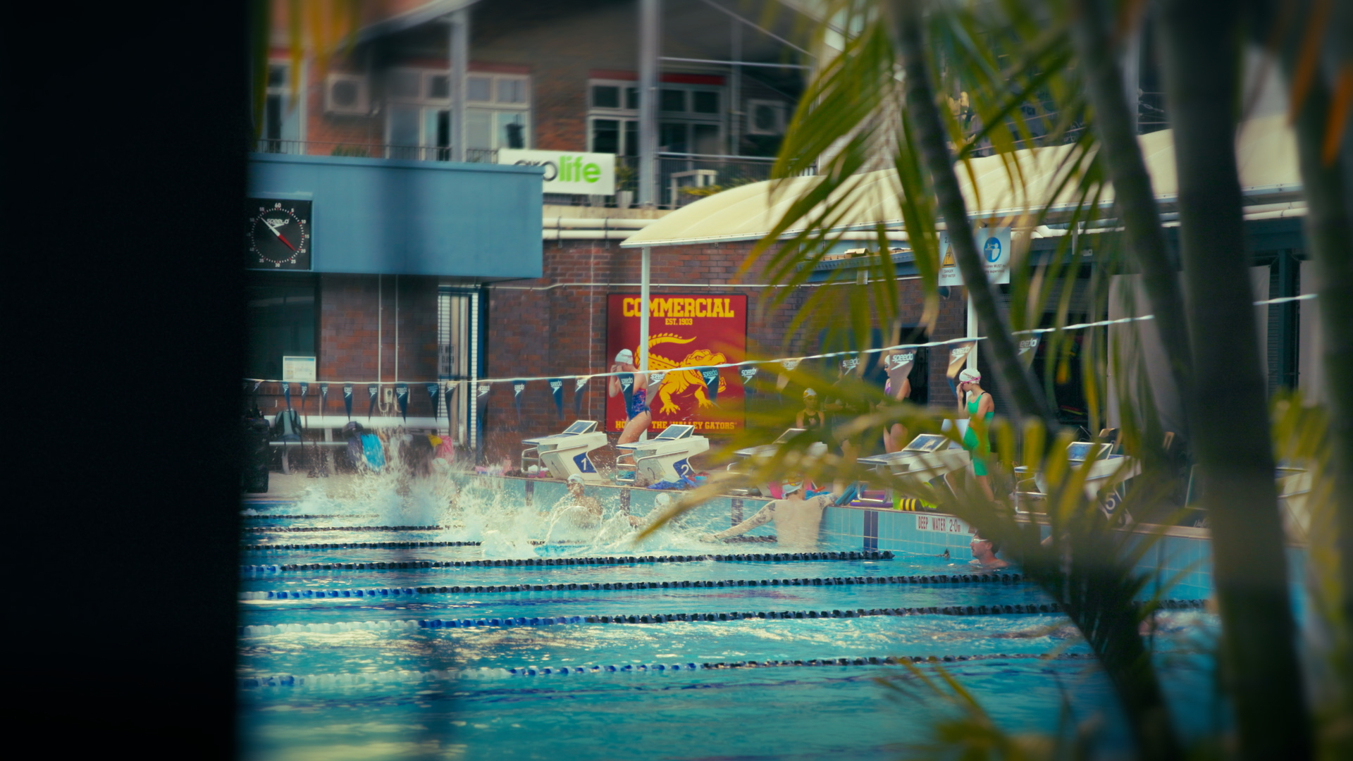 Commercial Swimming Club | Queensland's First Competitive Swimming Club ...